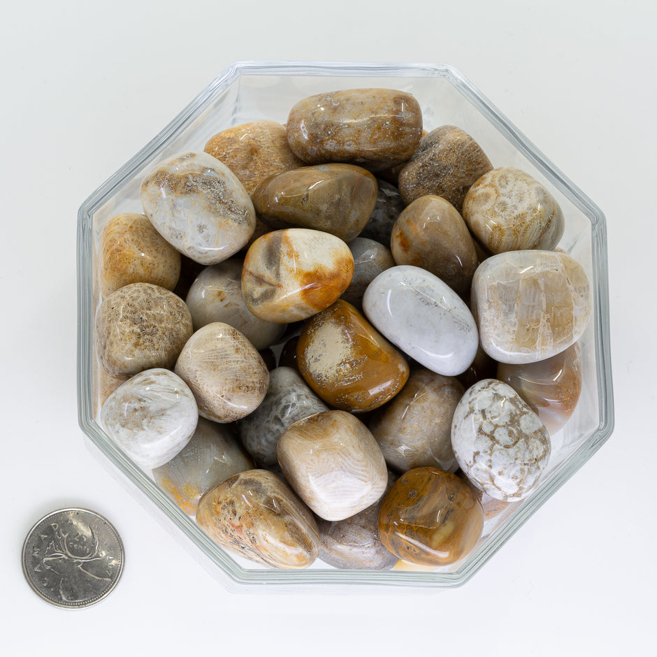 Products – Page 32 – Terra Rock Shop
