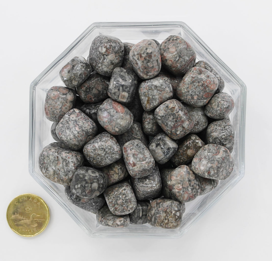 Products – Page 32 – Terra Rock Shop
