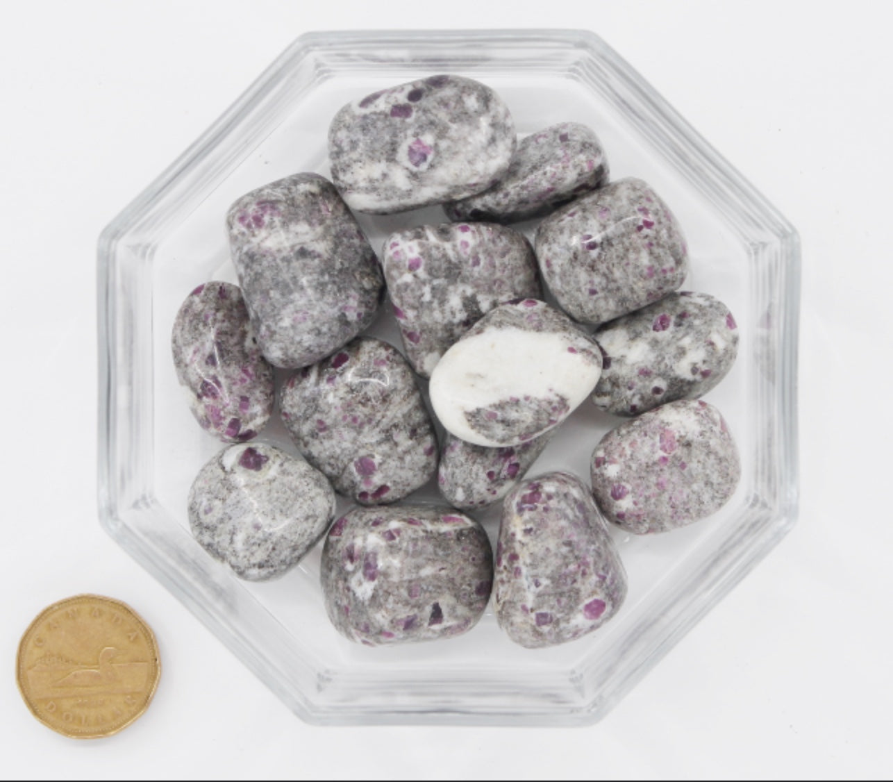 Ruby On Matrix Large - Tumbled – Terra Rock Shop